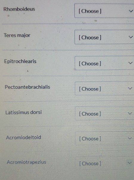 Solved Biceps femoris [Choose] Gastrocnemius [Choose ] | Chegg.com