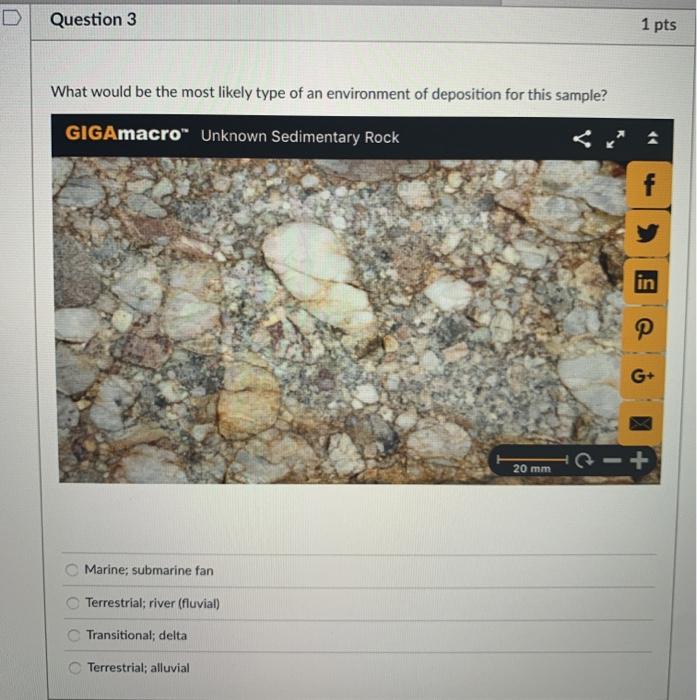 Solved Question 1 1 pts Describe the maturity of the | Chegg.com