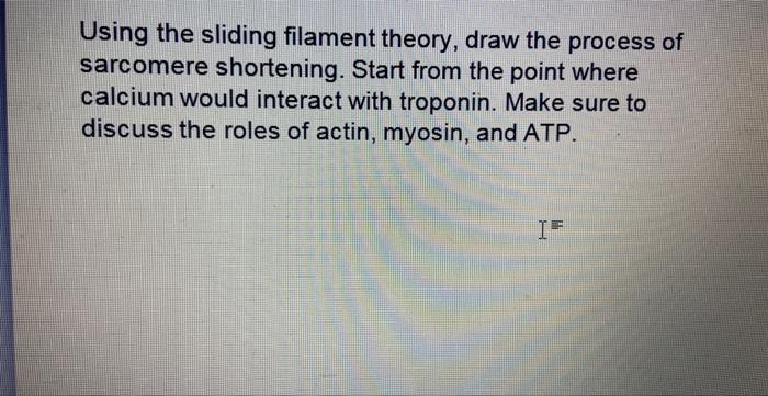 Solved Using the sliding filament theory, draw the process | Chegg.com