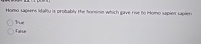 Solved Homo sapiens Idaltu is probably the hominin which | Chegg.com