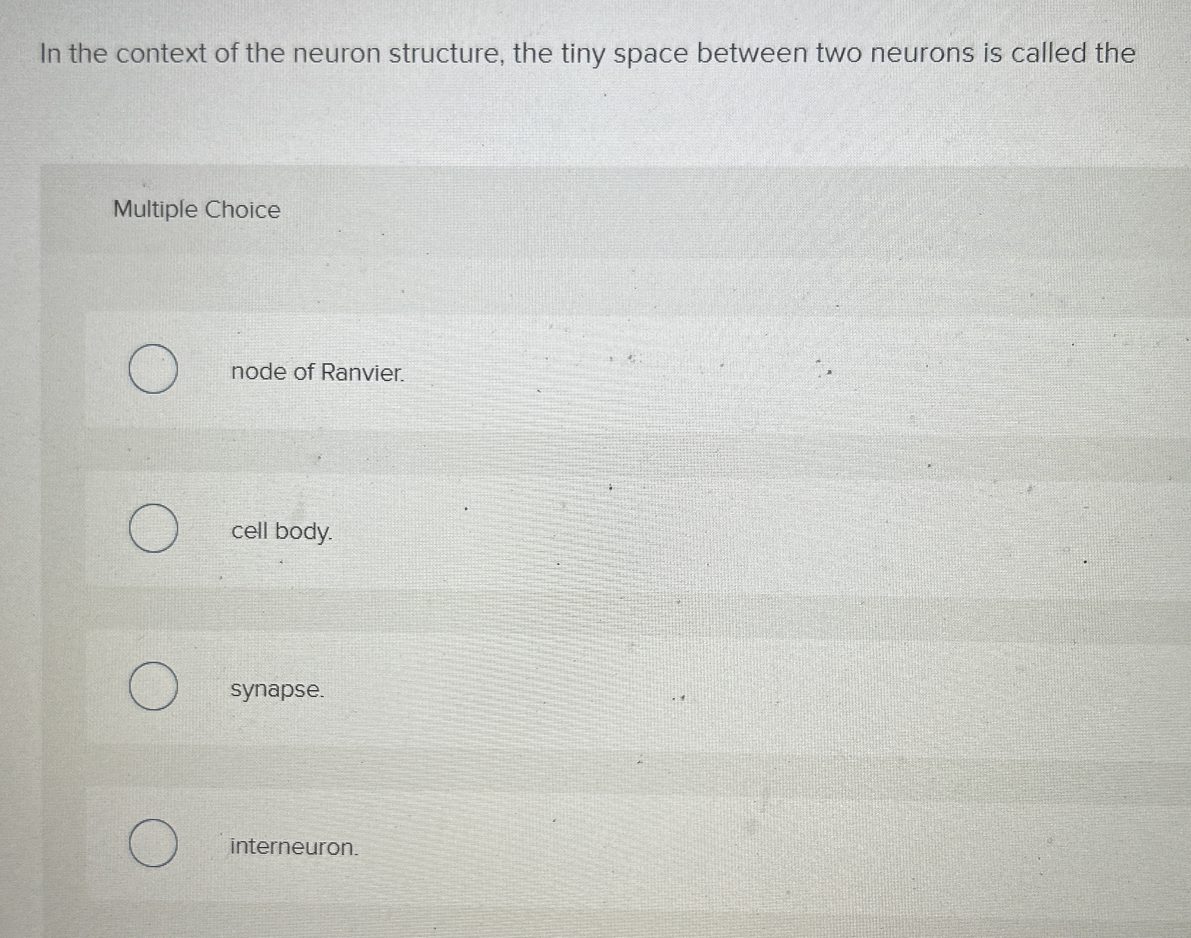 Solved In the context of the neuron structure, the tiny | Chegg.com