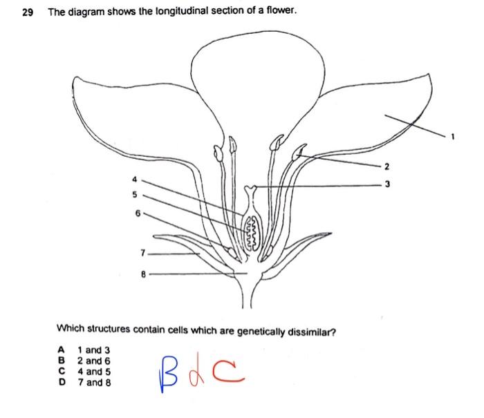 Solved 29 The diagram shows the longitudinal section of a | Chegg.com