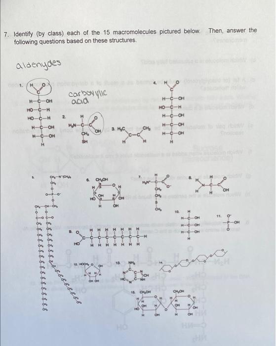 Solved identify by class each of the 15 macromolecules. then | Chegg.com