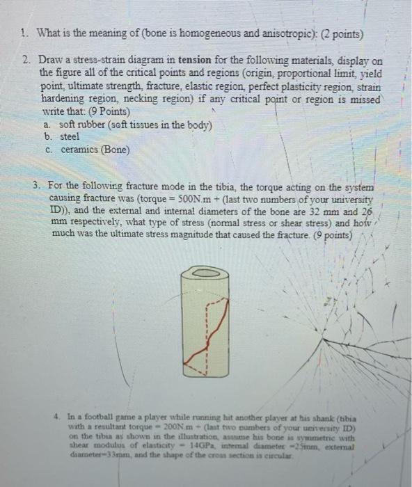 Solved 1. What is the meaning of (bone is homogeneous and | Chegg.com