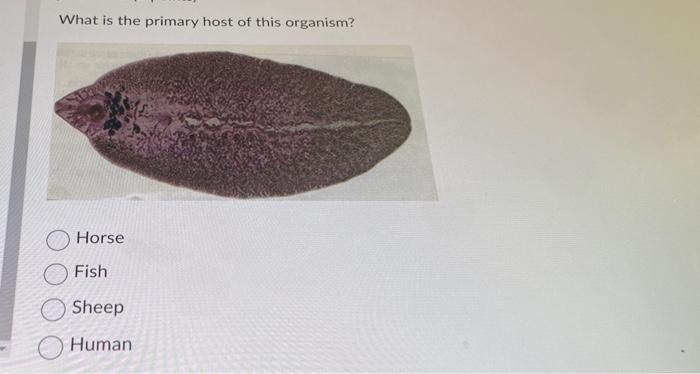 Solved What is the primary host of this organism? Horse Fish | Chegg.com