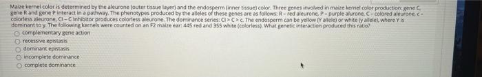 Solved Maize kernel color is determined by the aleurone | Chegg.com