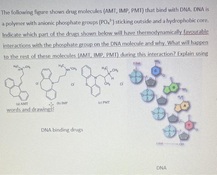 1. A) Define amphipathic molecules using drawings and | Chegg.com