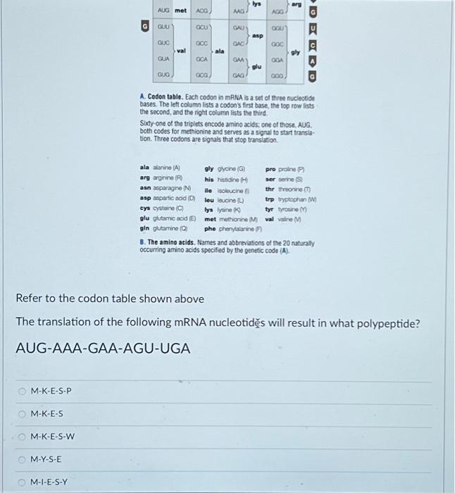 Solved Refer to the codon table shown above The translation | Chegg.com