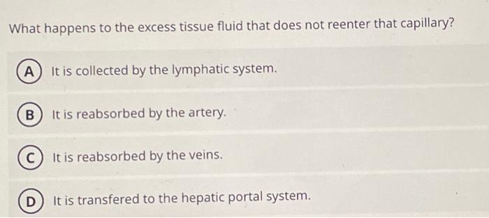 Solved What happens to the excess tissue fluid that does not | Chegg.com