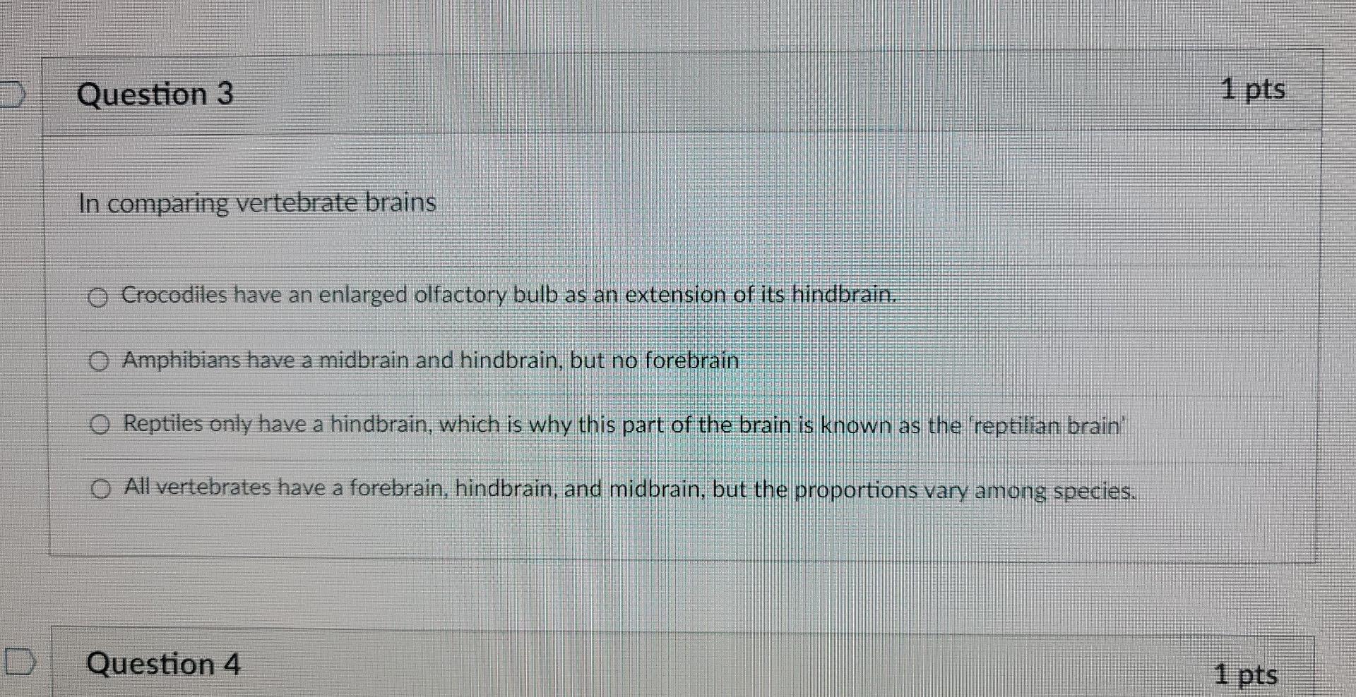 Solved Question 3 1 pts In comparing vertebrate brains O | Chegg.com