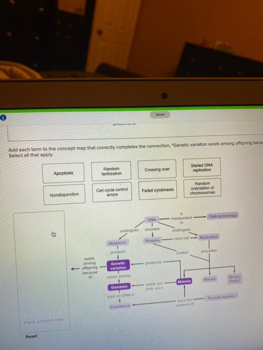 Solved Saved Add each term to the concept map that correctly | Chegg.com
