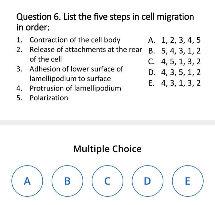 Solved Multiple Choice | Chegg.com