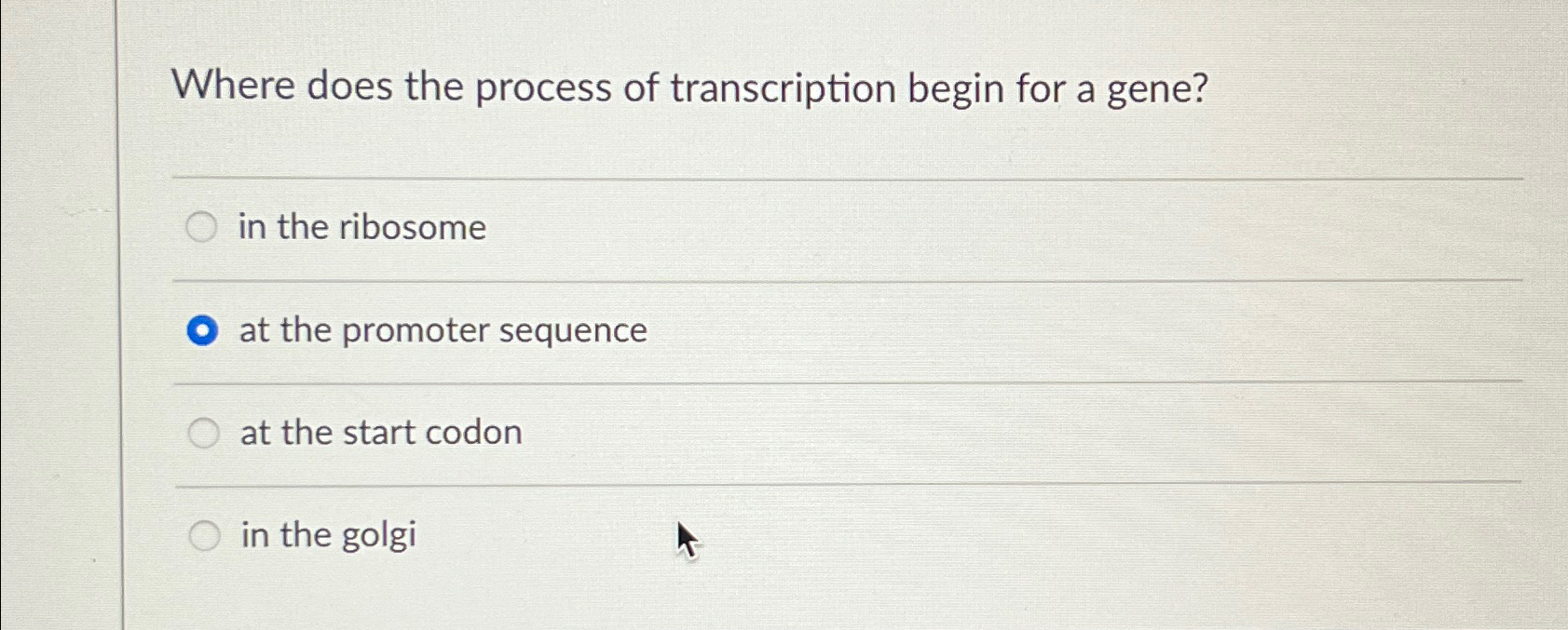 Solved Where does the process of transcription begin for a | Chegg.com