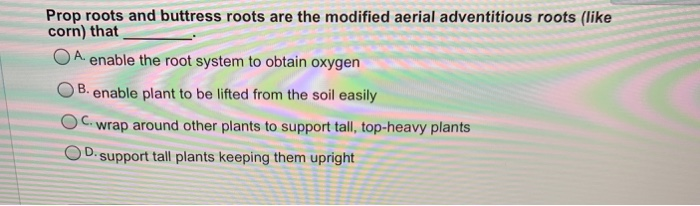 Solved Prop roots and buttress roots are the modified aerial | Chegg.com