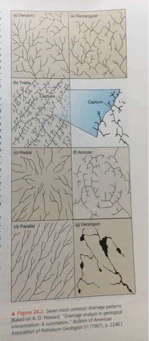 Solved (a) Dendritic le) Rectangular EWA (b) Trellis WY (c) | Chegg.com
