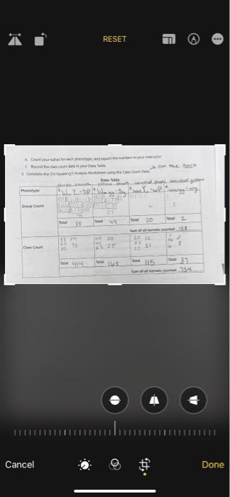 Solved What is the x2 Test? The Chi-Square Test caiculates | Chegg.com