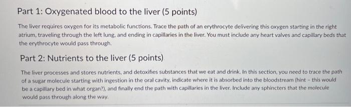 Solved Part 1: Oxygenated blood to the liver (5 points) The | Chegg.com