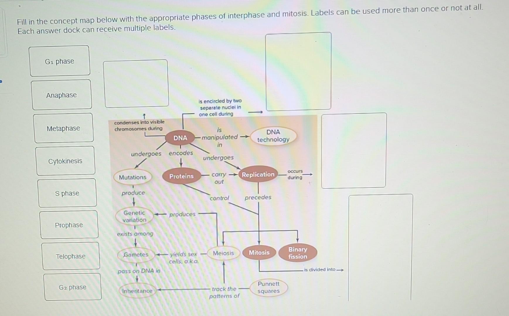 Solved Fill in the concept map below with the appropriate | Chegg.com