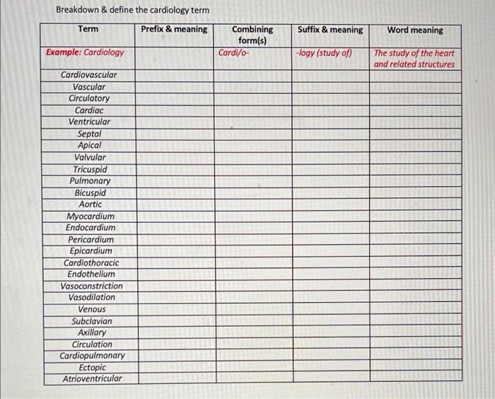 Solved Breakdown & define the cardiology term Prefix & | Chegg.com