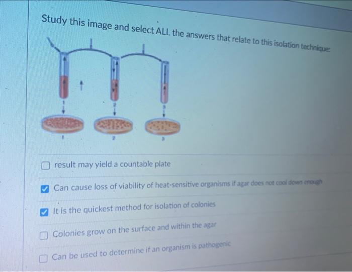 Solved Study this image and selart 111… nswers that relate | Chegg.com