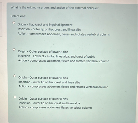 Solved What is the origin, insertion, and action of the | Chegg.com