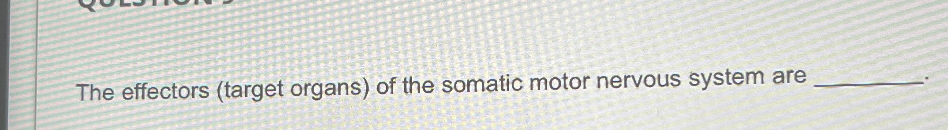 Solved The effectors (target organs) ﻿of the somatic motor | Chegg.com