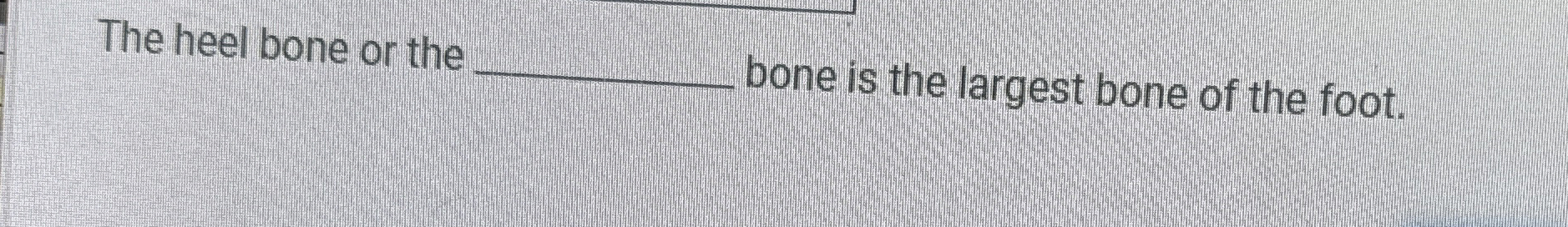 Solved The heel bone or the q, ﻿bone is the largest bone of | Chegg.com