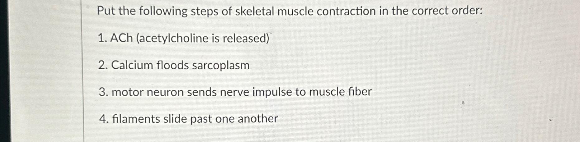 Solved Put the following steps of skeletal muscle | Chegg.com