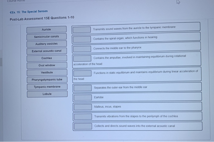 Solved course Home | Chegg.com