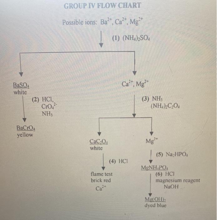 Solved A Group IV unknown gave no precipitate with (NH4)2SO4 | Chegg.com