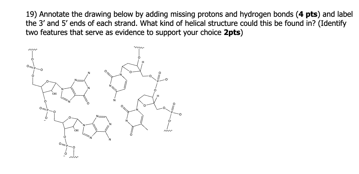 Solved 19) ﻿Annotate the drawing below by adding missing | Chegg.com