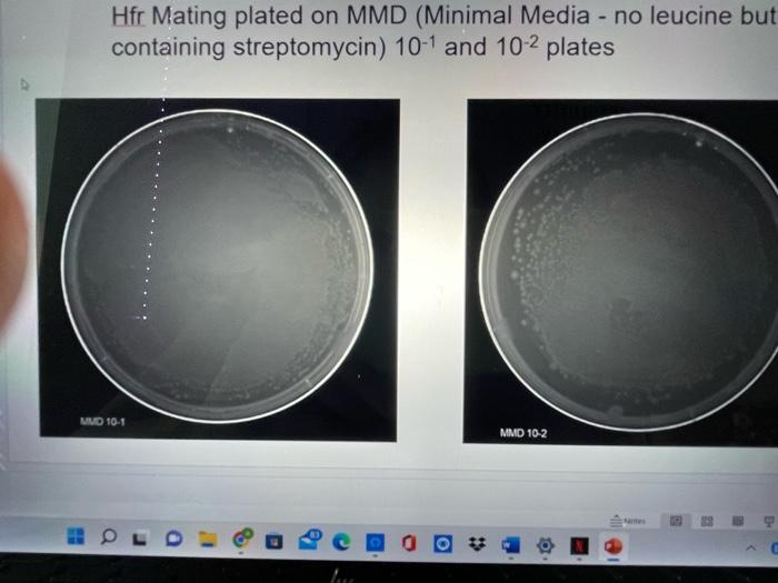 Solved i neef the colonies per plate snd cfu/ml table | Chegg.com