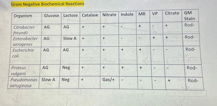 Solved Gram Negative Biochemical Reactions | Chegg.com