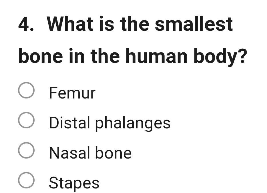 Solved 4. What is the smallest bone in the human body? Femur | Chegg.com