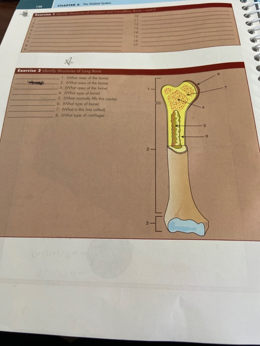 Solved CHAPTER 12 14 15 ☆ Exercise 2 dentity Structures of | Chegg.com