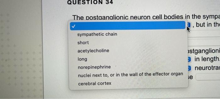 Solved QUESTION 34 The postganglionic neuron cell bodies in | Chegg.com