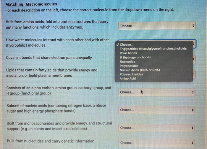 Solved Matching: Macromolecules For each description on the | Chegg.com