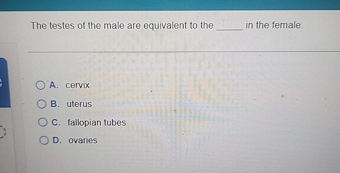 Solved The testes of the male are equivalent to the ﻿in | Chegg.com