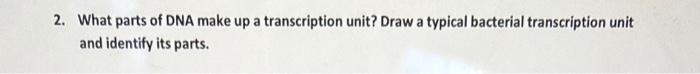 Solved What parts of DNA make up a transcription unit? Draw | Chegg.com