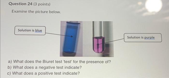 Solved Examine the picture below. a) What does the Biuret | Chegg.com