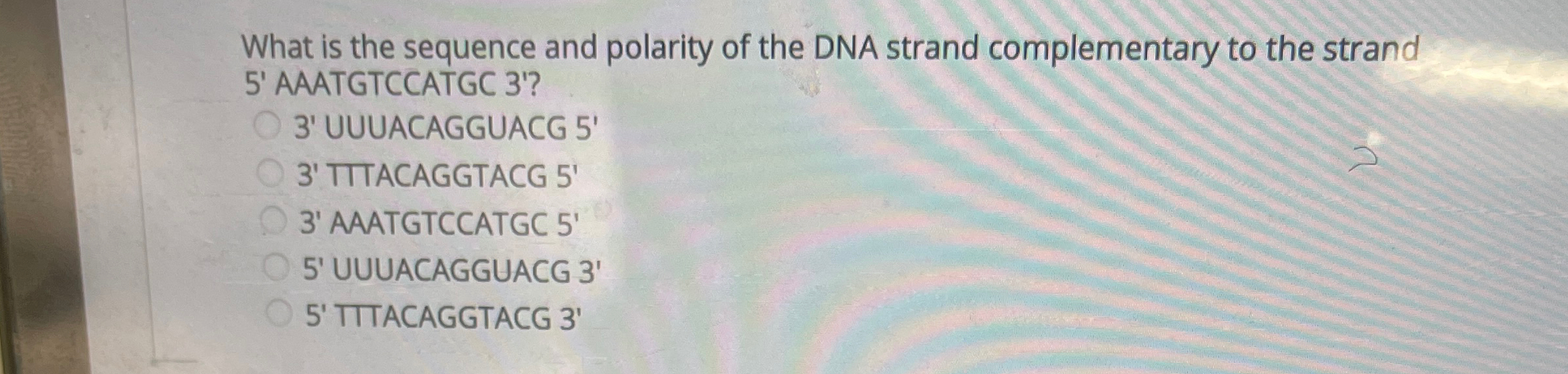 What Is The Sequence And Polarity Of The Dna Strand