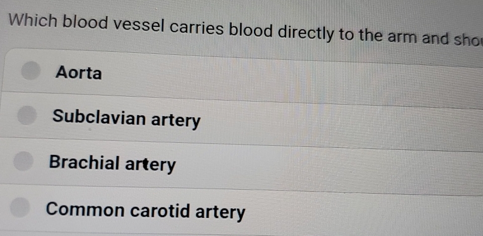 Solved Which blood vessel carries blood directly to the arm | Chegg.com