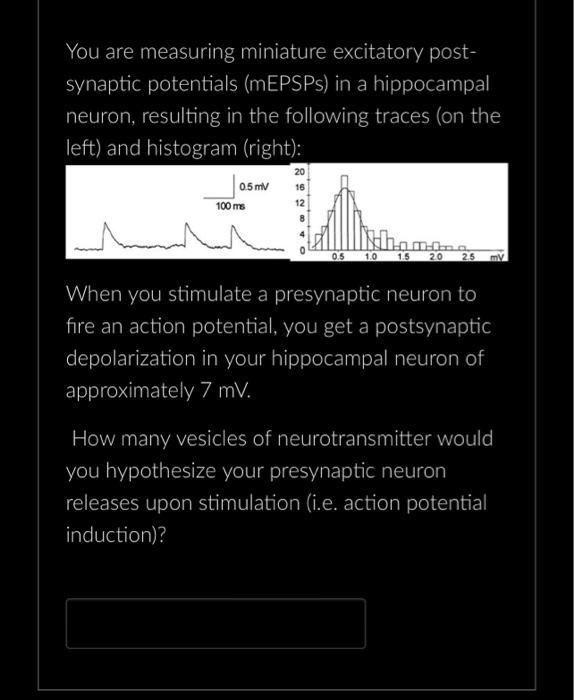Solved You Are Measuring Miniature Excitatory Postsynaptic