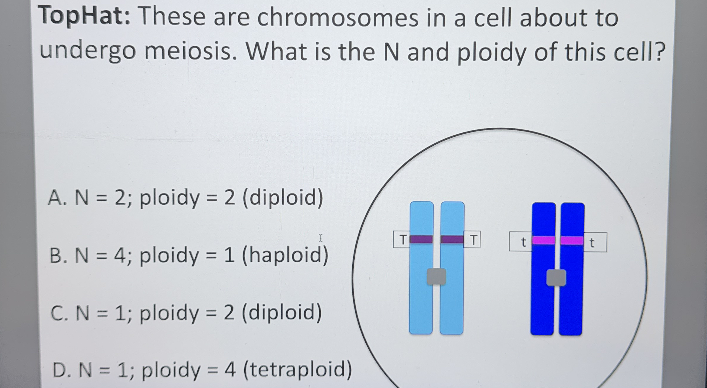 TopHat: These are chromosomes in a cell about | Chegg.com