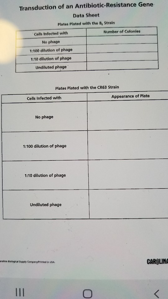 Transduction of an Antibiotic-Resistance Gene Data | Chegg.com