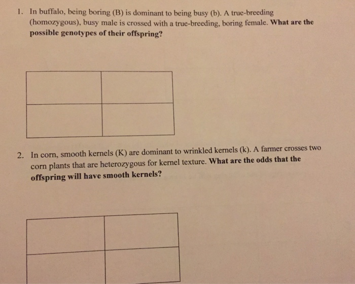 Solved 1. In buffalo, being boring (B) is dominant to being | Chegg.com