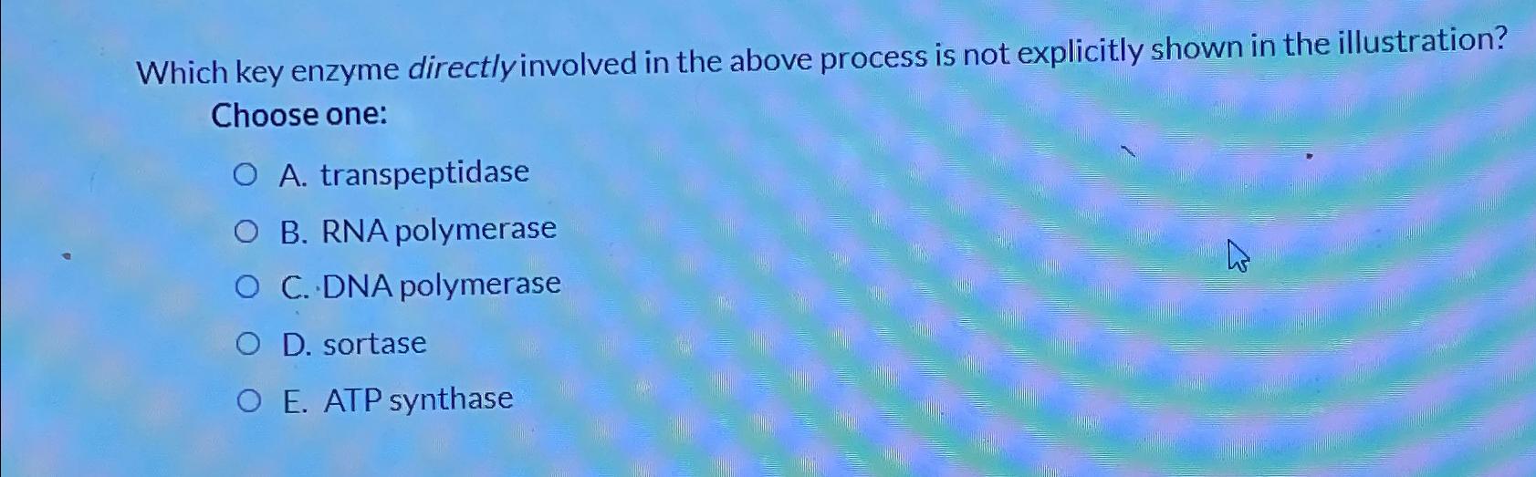 Which key enzyme directly involved in the above | Chegg.com