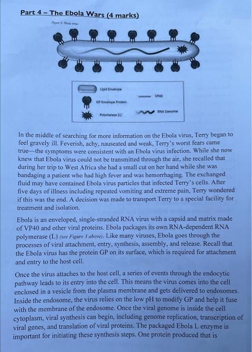 Solved 1. Are viruses considered living? Explain. (2 marks) | Chegg.com