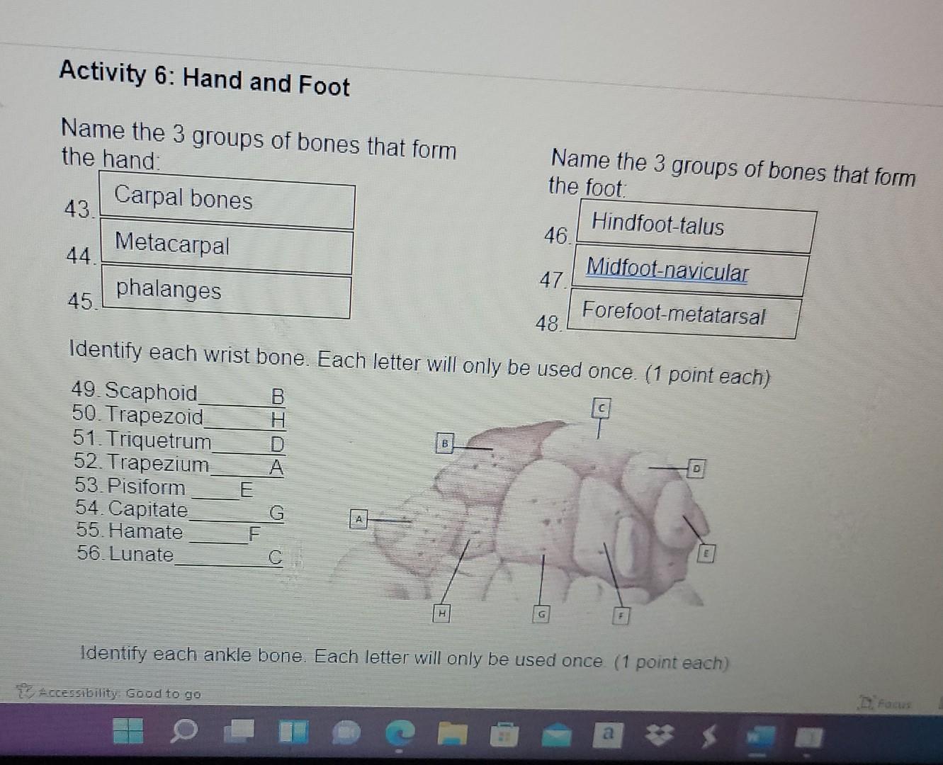 Solved Activity 6: Hand and Foot Name the 3 groups of bones | Chegg.com