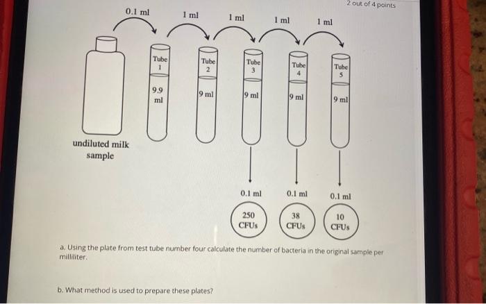 Solved 2 out of 4 points 0.1 ml 1 ml 1 ml I ml 1 ml Tube 1 | Chegg.com